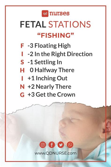 Maternal Neonatal Care Qd Nurses Nursing School Skills Neonatal