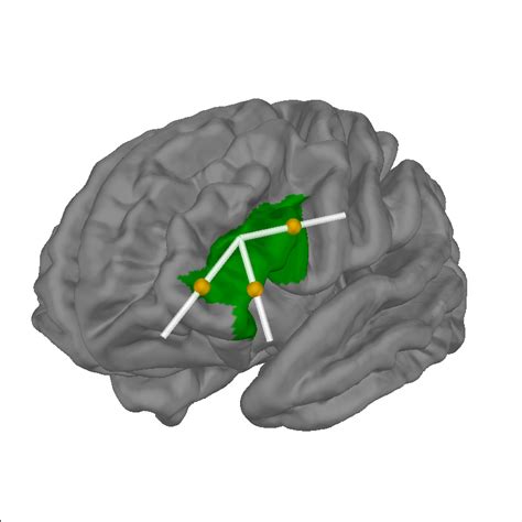 Utilising Anatomical Information MNE NIRS 0 8 0 Dev49 G601d12e5
