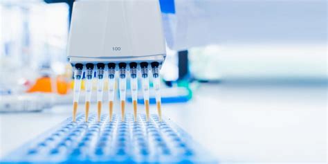 Demystifying The ICH M Bioanalytical Method Validation Guidelines PlatoHealth