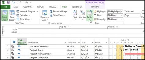 Microsoft Project Row Height Adjustment Quick Tip