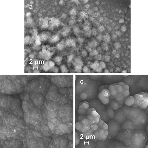 Sem Images At Different Magnifications Of Bilayer Coating A