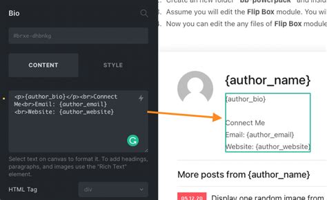 Creates Author Box With Query Loop Builder Bricksultimate
