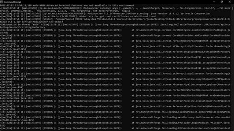 Error In Attempting A Forge Server Server Support And Administration