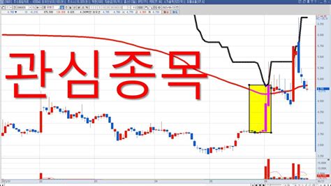 2023 09 25 관심종목쏠리드 머큐리 Hk이노엔 Pn풍년 유진테크 리메드 라이콤 에코바이오 유신 신신제약 이랜시스 노을 씨씨에스 Youtube