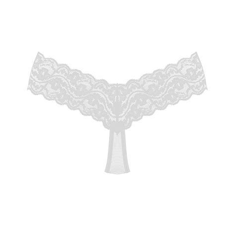 Sexy Lingerie See Through Panties Sheer Lingerie Sexy Underwear