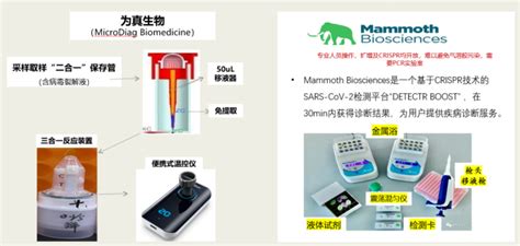基于crispr的诊断科技公司pk：为真 Vs 夏洛克 Vs Proof 小桔灯网 Iivd Net