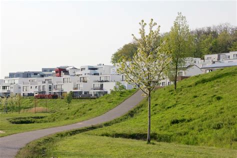 무료 이미지 경치 나무 자연 하늘 하이킹 도시 산책 수송 근교 목가적 인 봄 녹색 수로 맑은 재산