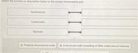 [answered] Match The Function Or Description Below To The Correct Kunduz