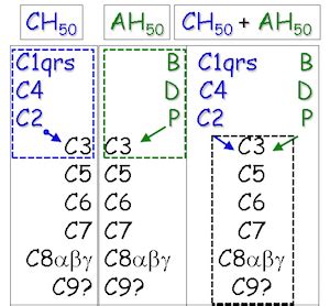 Complement C System