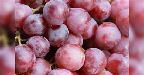 Exportaciones De Uva Peruana Se Recuperan Tras Liberación De Vías En Ica Economía La República