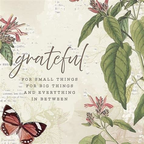 ravali reddy on linkedin grateful love blessed thankful gratitude