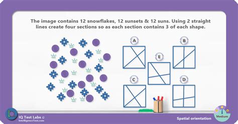 Iq Test Labs Spatial Orientation