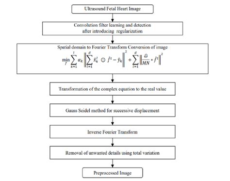 Workflow Process Of Srdcf With Total Variation Denoising Method Download Scientific Diagram