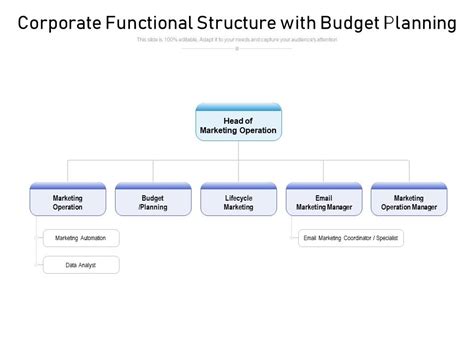 Corporate Functional Structure With Budget Planning Ppt PowerPoint Presentation File Slideshow