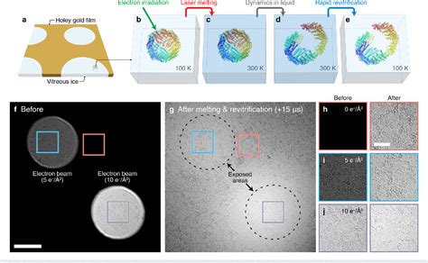 Figure 1 From Microsecond Melting And Revitrification Of Cryo Samples Semantic Scholar