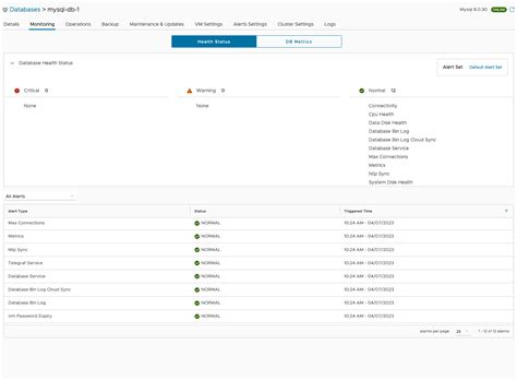 Monitoring And Metrics In Vmware Data Services Manager V14