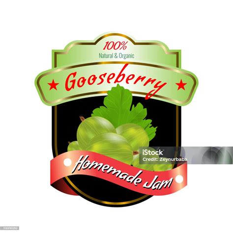 잼 패키지에 대 한 유기 구 베리 라벨 디자인 3d 벡터 일러스트입니다 0명에 대한 스톡 벡터 아트 및 기타 이미지 0명 3차원 형태 건강한 식생활 Istock