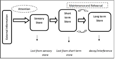 The Theoretical Framework Based On The Atkinson And Shiffrin Modal