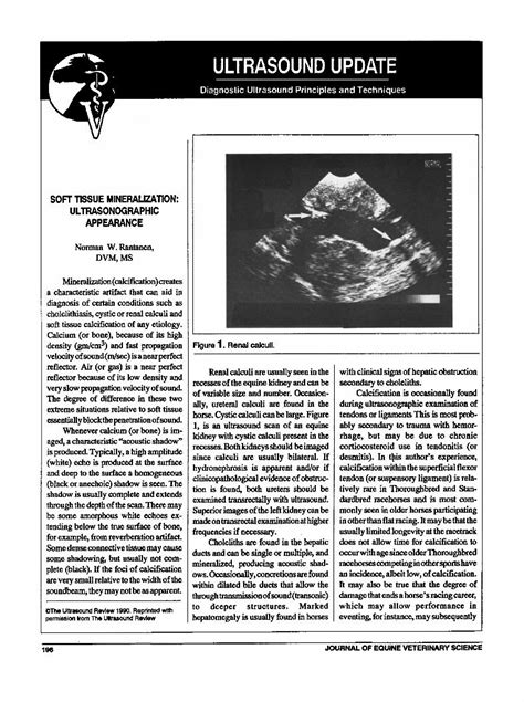 Pdf Soft Tissue Mineralization Ultrasonographic Appearance Dokumen Tips