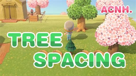 Acnh Best Treebamboo Spacing And Orchard Layout Guide