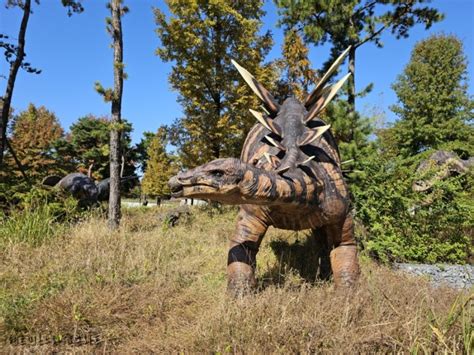[과천 23개월 아기랑] 과천과학관 자연사관 일부 폐쇄 ~12 23 공룡 공원 야외 놀이터 푸드코트 네이버 블로그