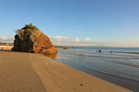 島根県の郷土料理めのは飯のめのはとは何のこと ご当地情報局