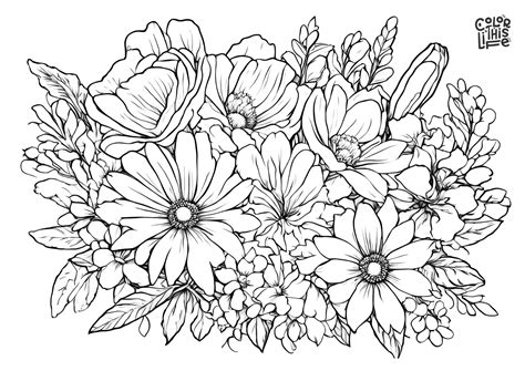 Free Printable Flowers Coloring Pages Color This Life