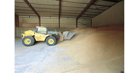 Цените на зърното и зеленчуците ще останат високи Български Фермер