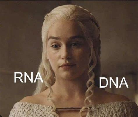 Pengertian Dna Dan Rna Serta Perbedaannya
