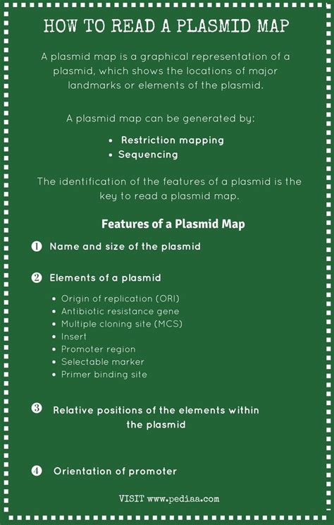 How To Read A Plasmid Map Pediaacom How To Read A Plasmid Map Pediaacom