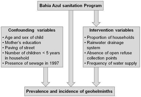 Conceptual Model To Investigate The Effect Of The City Wide Sanitation Download Scientific