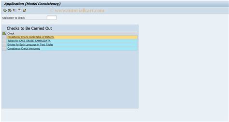 CACS TFW MC SAP Tcode Model Consistency Transaction Code