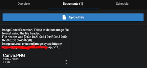 Images Are Not Rendered Inline When Invoiceninja Is Behind A Basic Auth