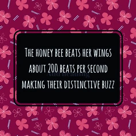 Buzzing Bees Bee Keeping Bee Buzz Bee