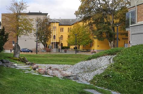 Ntnu I Trondheim Vitenskapsmuseet Koro