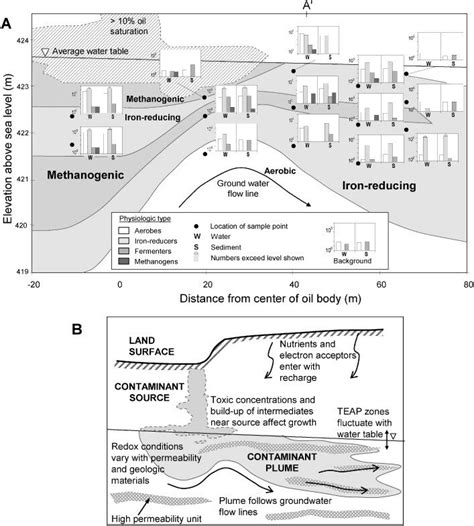 The Influence Of Subsurface Hydrologic And Geochemical Conditions On Download Scientific