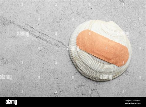 Shell With Sticking Plaster On Light Grey Stone Table Top View Space