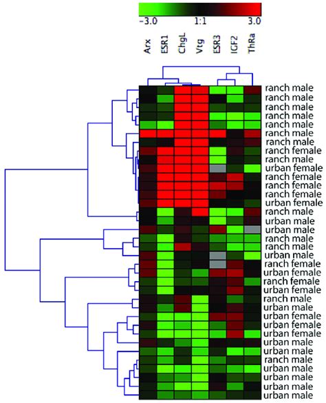 Heat Map Of Transcript Expression By Site And Sex Expression Of Download Scientific Diagram