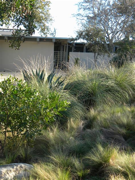 Mid Century Modern Now Midcentury Landscape Austin By Robert