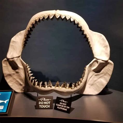 Why You Should Go To Tellus Science Museum In North Georgia