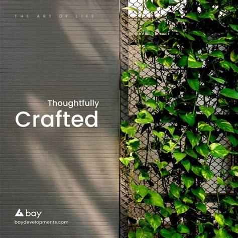 Baydevelopments Theartoflife Baysedgewater Bay Developments Ltd