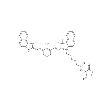 Cy7 5 Nhs Ester Kerafast