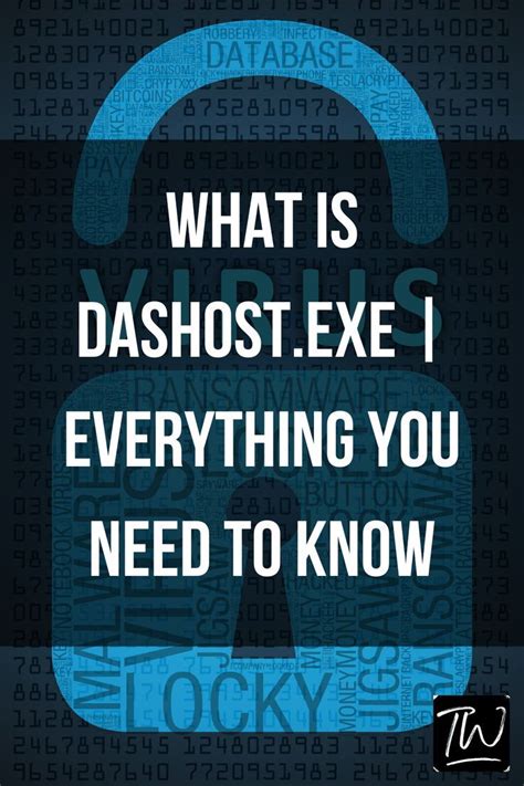 What Is Dashost Exe Everything You Need To Know Artofit
