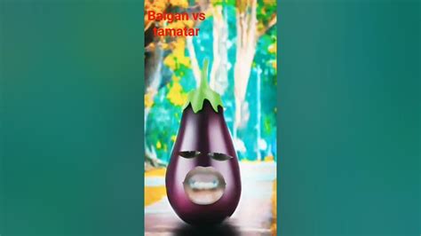Tamatar Vs Baigan 😂🍅🍆🍆 Comedy Bagancomady Brinjal 😂😂