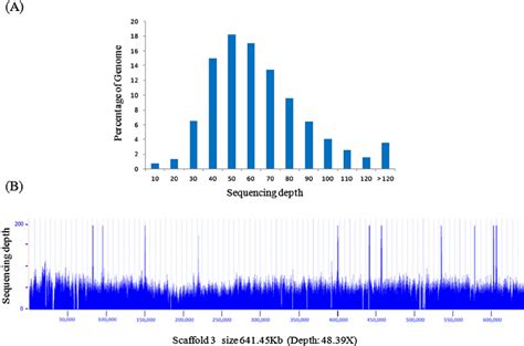 Coverage Analysis Of The Assembled Genome A Bar Graph Representation Download Scientific