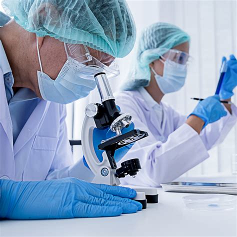 Cbd And Bioavailability What Does The Research Say Natures Wealth