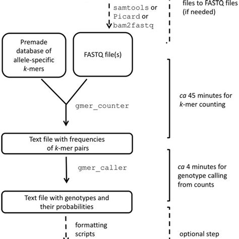 overall principle of k mer based genotyping download scientific diagram