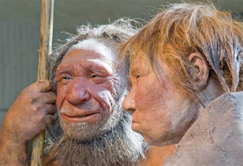 Sally And Sam Humans And Neanderthals May Have Interbred 50000 Years Earlier Than Previously