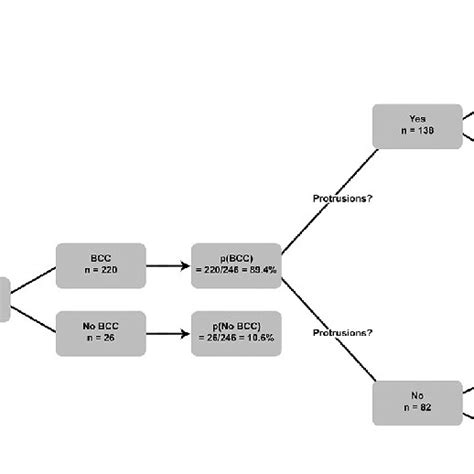 Diagnostic Algorithm For Diagnosing And Subtyping Of Basal Cell Download Scientific Diagram
