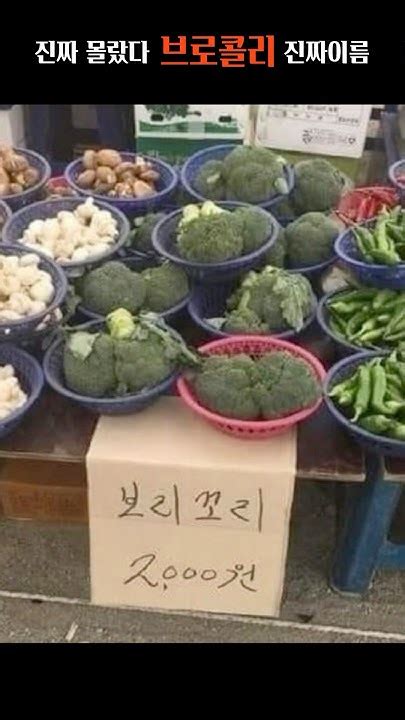 진짜 몰랐다 브로콜리 진짜이름 Youtube